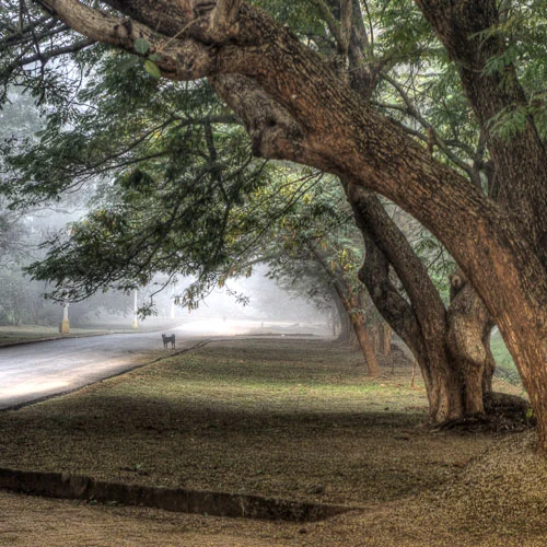 NIT Rourkela Academic TimeTable